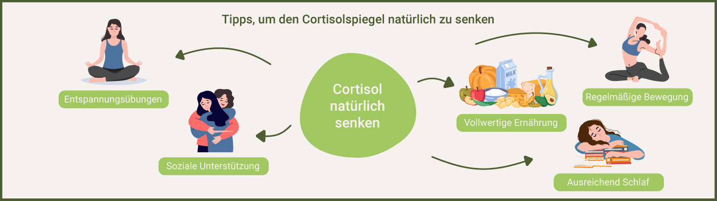 Faszinierend Cortisol Senken Hausmittel Bild